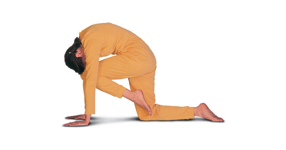 Asanas and Exercises to Increase Flexibility of the Spine
